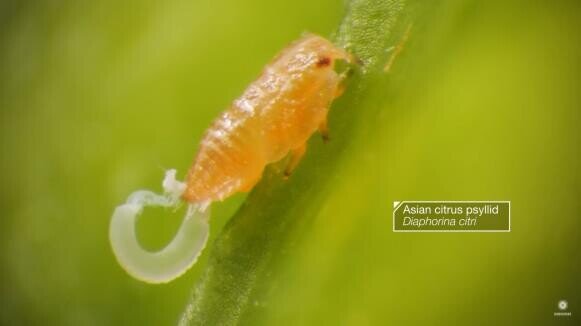 Holistic Farm Solutions | Terminum