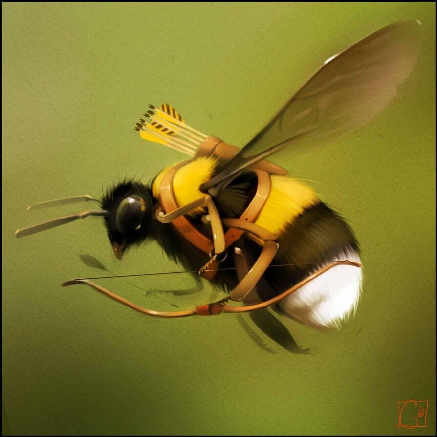 Range Working Bee! | Randwick Archery Club Inc