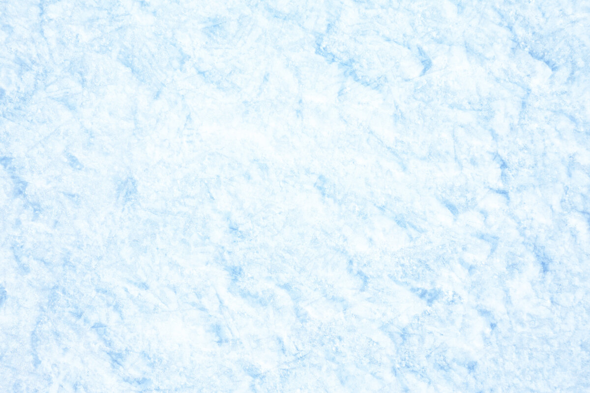 NZ Barracouta | Thyrsites atun | Vela Fishing