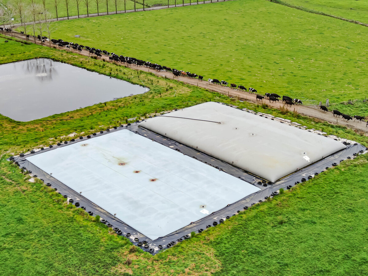 Flexi Tanks | Effluent Storage in Northland