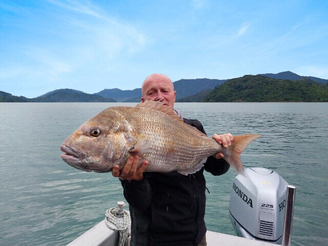 Fishing trips Kenepuru and Pelorus Sounds | Kenepuru Water Taxi Ltd