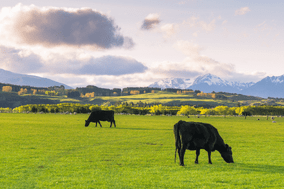 360 Foods - Premier Food Manufacturing | PLH Group | 360 Foods