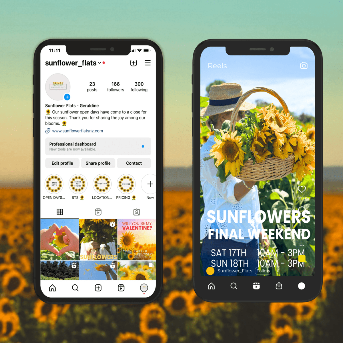 Social Media & Website Design | Scooch Marketing Portfolio