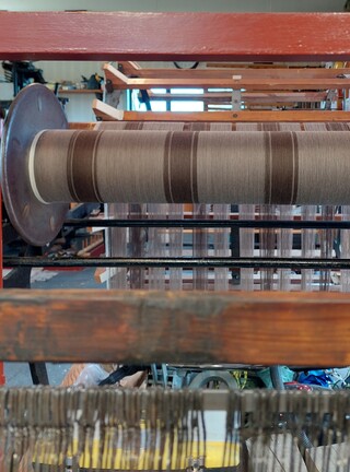 Foulden Hills Collection