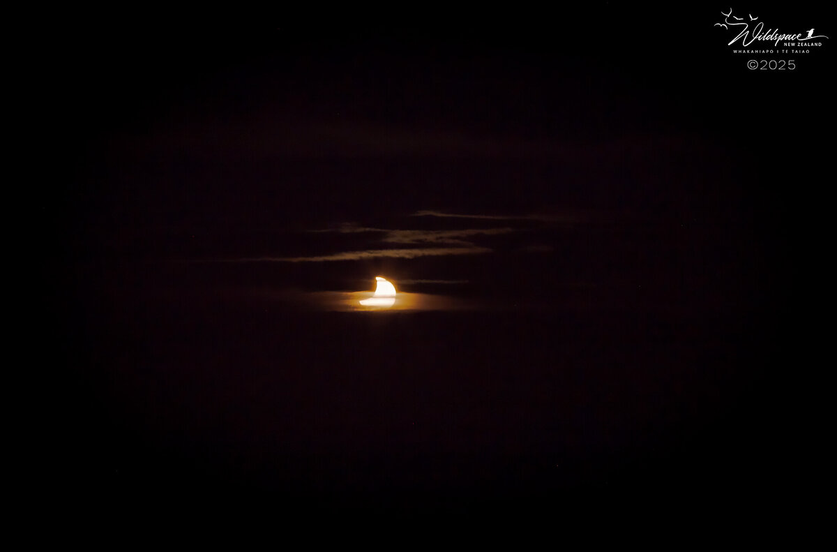 Partial Solar Eclipse | Wildspace New Zealand