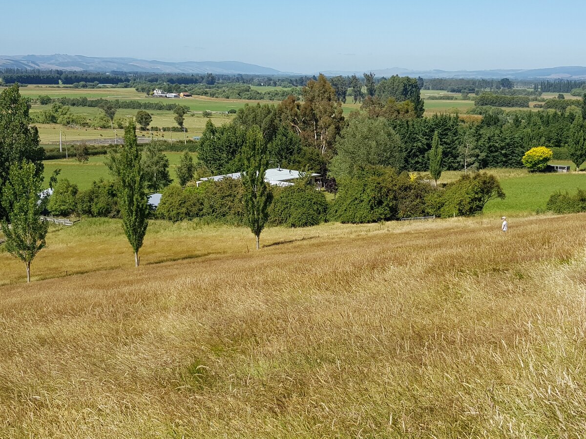 Lavender Row | Lavender Row Story