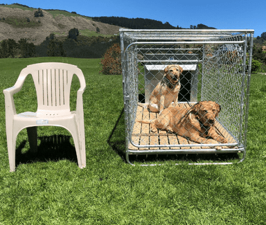 Dog Kennels NZ| Dog Kennel and Run Options| Quality Kennels
