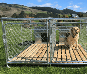Dog Kennels NZ made, Dog Runs and more. Quality Kennels