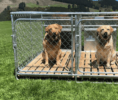 Dog Kennels NZ| Dog Kennel and Run Options| Quality Kennels