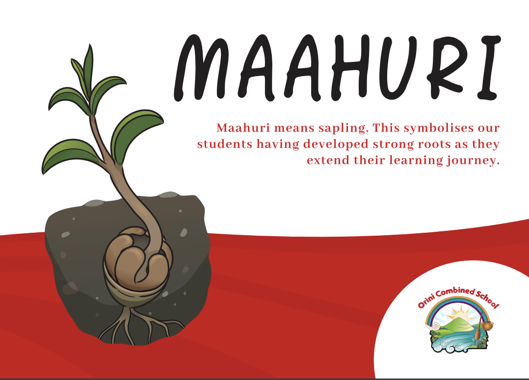 Orini Combined School | Our Newsletters