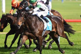 Pike Racing | Pike Racing