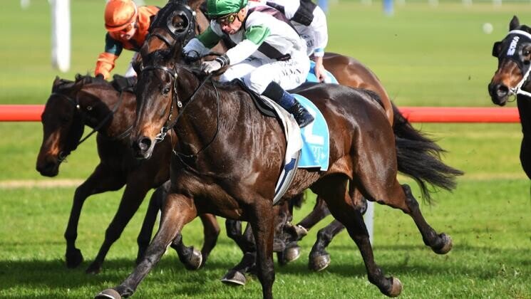 Elemental scores impressive debut win | Pike Racing