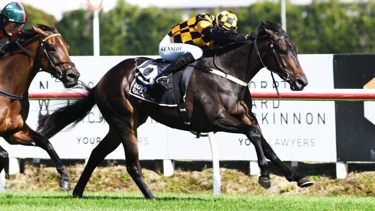 Thooza shines on debut at Te Rapa | Pike Racing