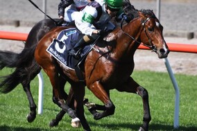 Pike Racing | Pike Racing