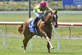 Pike Racing | Pike Racing