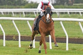 Pike Racing | Pike Racing