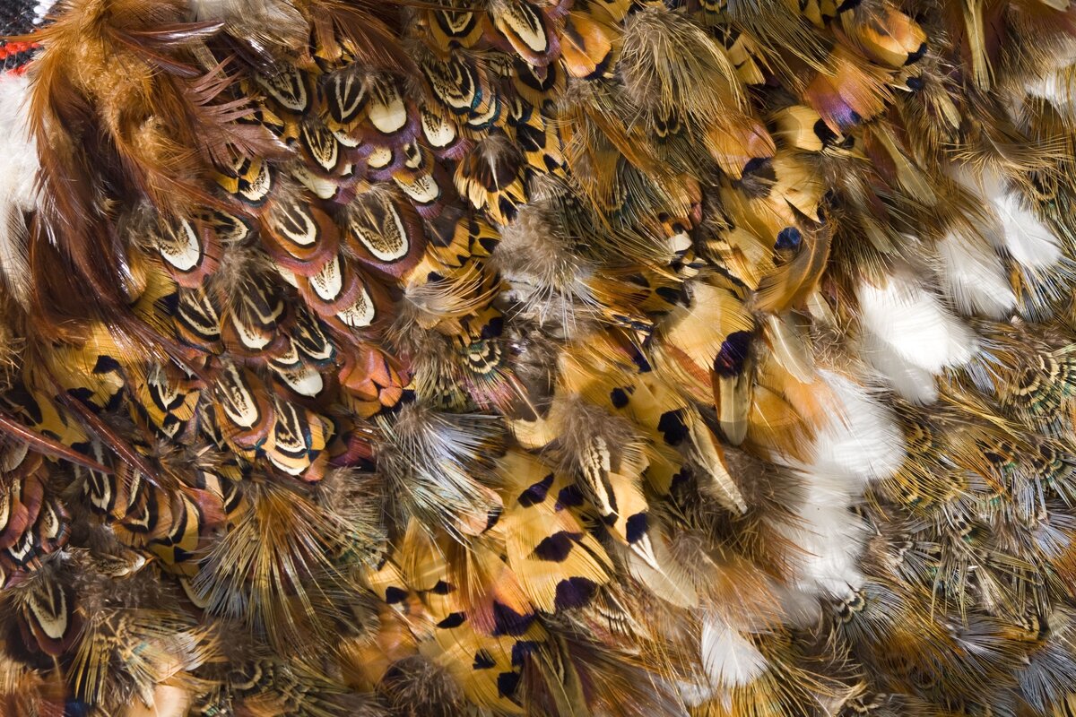 Kōrero mai | Mā te Rae | Māori Evaluation Association