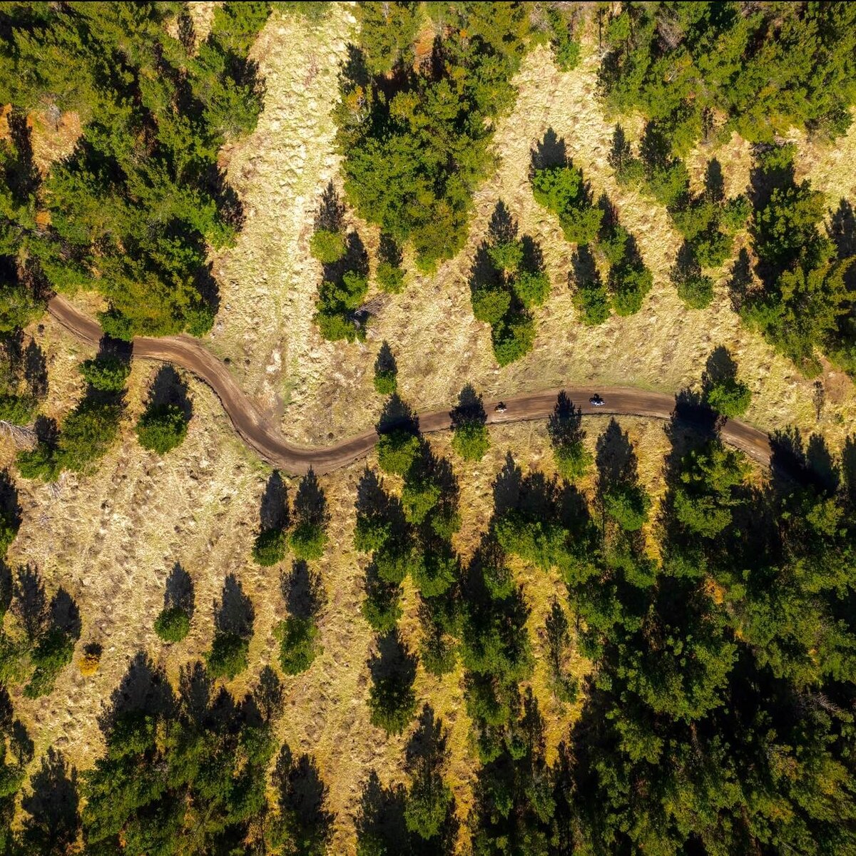 Trail Ride, Berm Buster New Zealand, Taupo moto track | Epic Events ...
