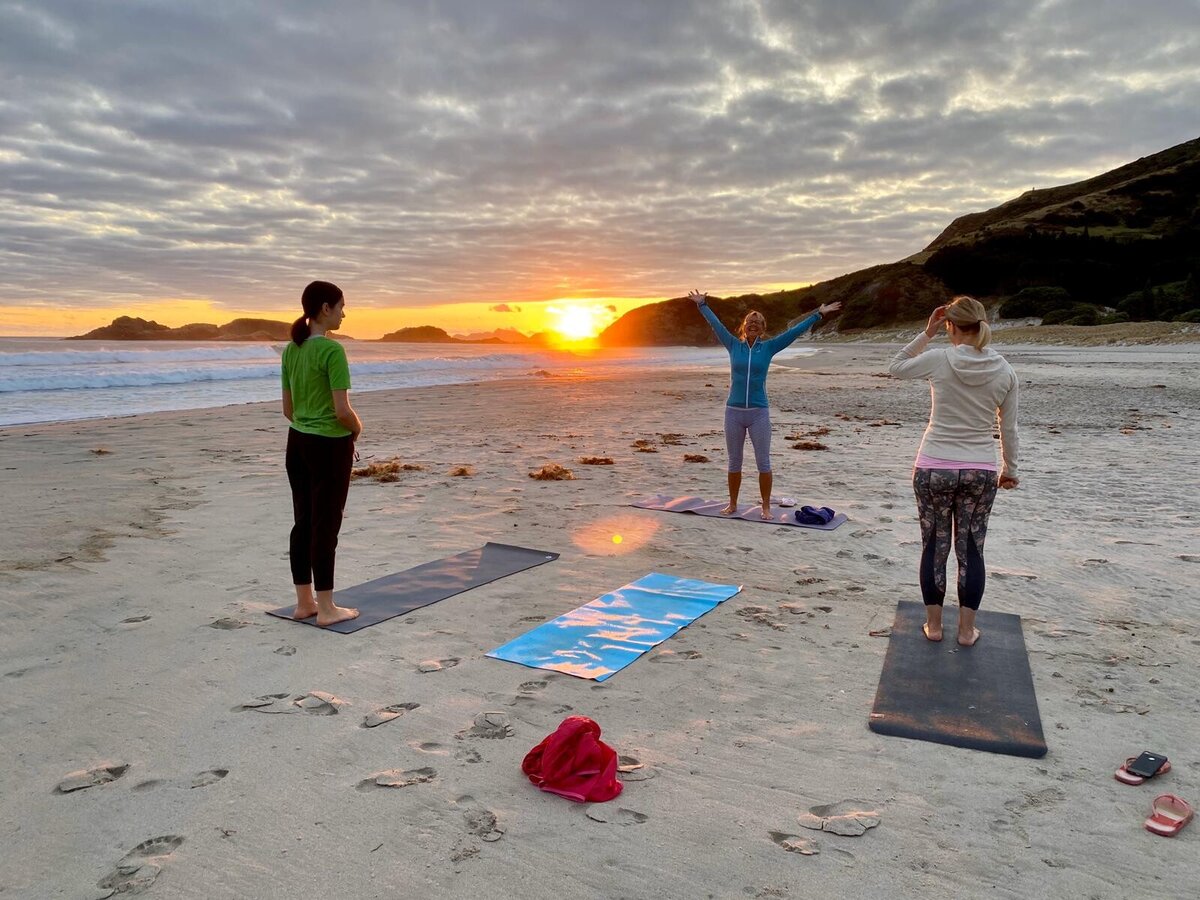 VISITING YOGA TEACHERS | WHY Retreat