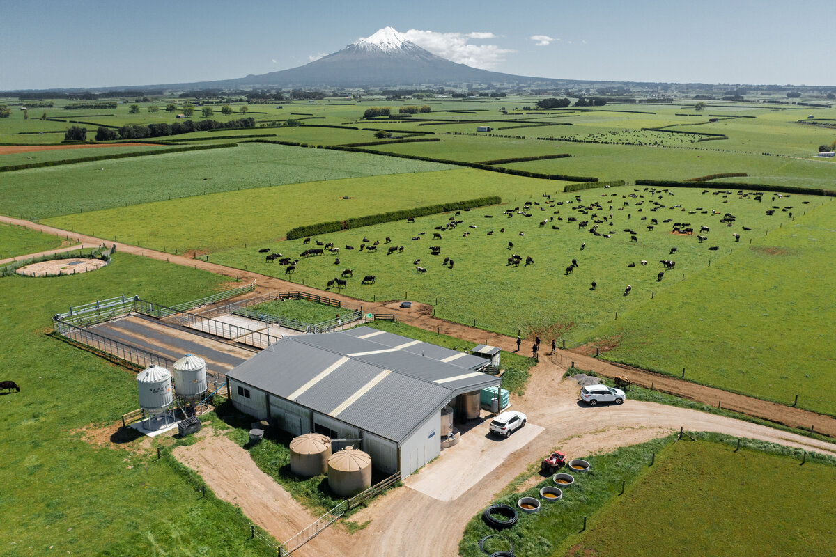 DeLaval Robotic Milking Systems | Waikato, BOP, Taranaki | Automation ...