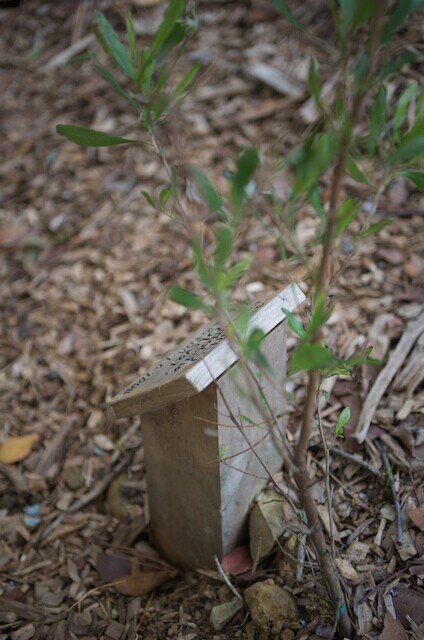 Makara Natural Burial Cemetery - Wellington Natural Burials ...
