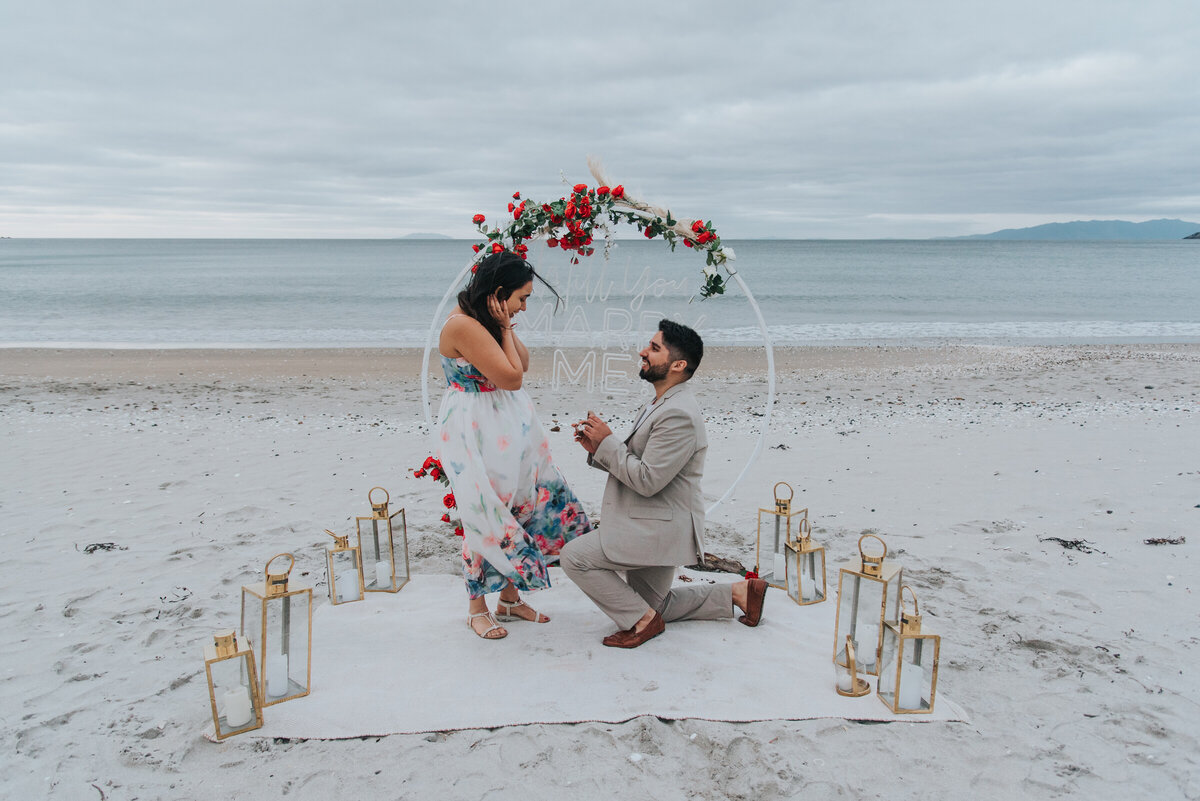 A spring time island proposal - Sonali and Akshat | Indigo Waiheke ...