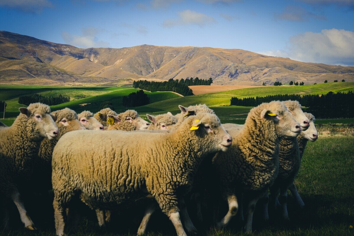 Broadcast your location, spot spraying, and improved tasks | FarmIQ ...
