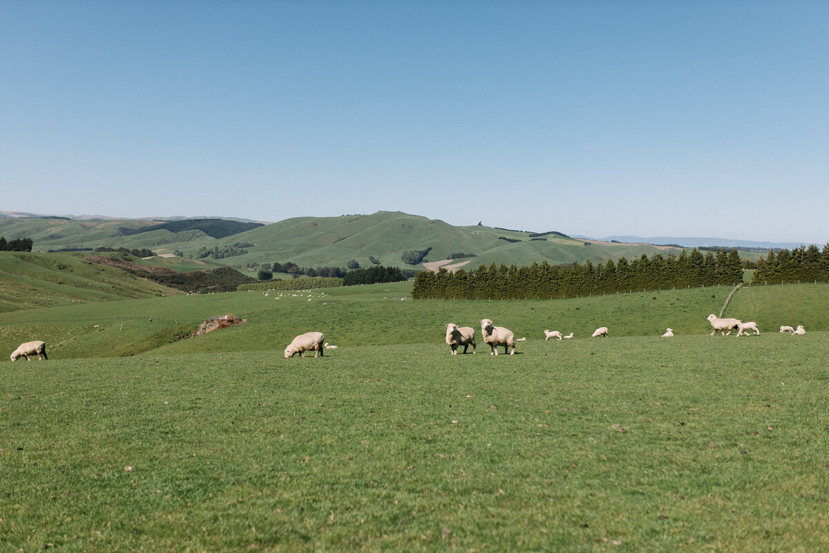 Te Pari integration | FarmIQ Systems