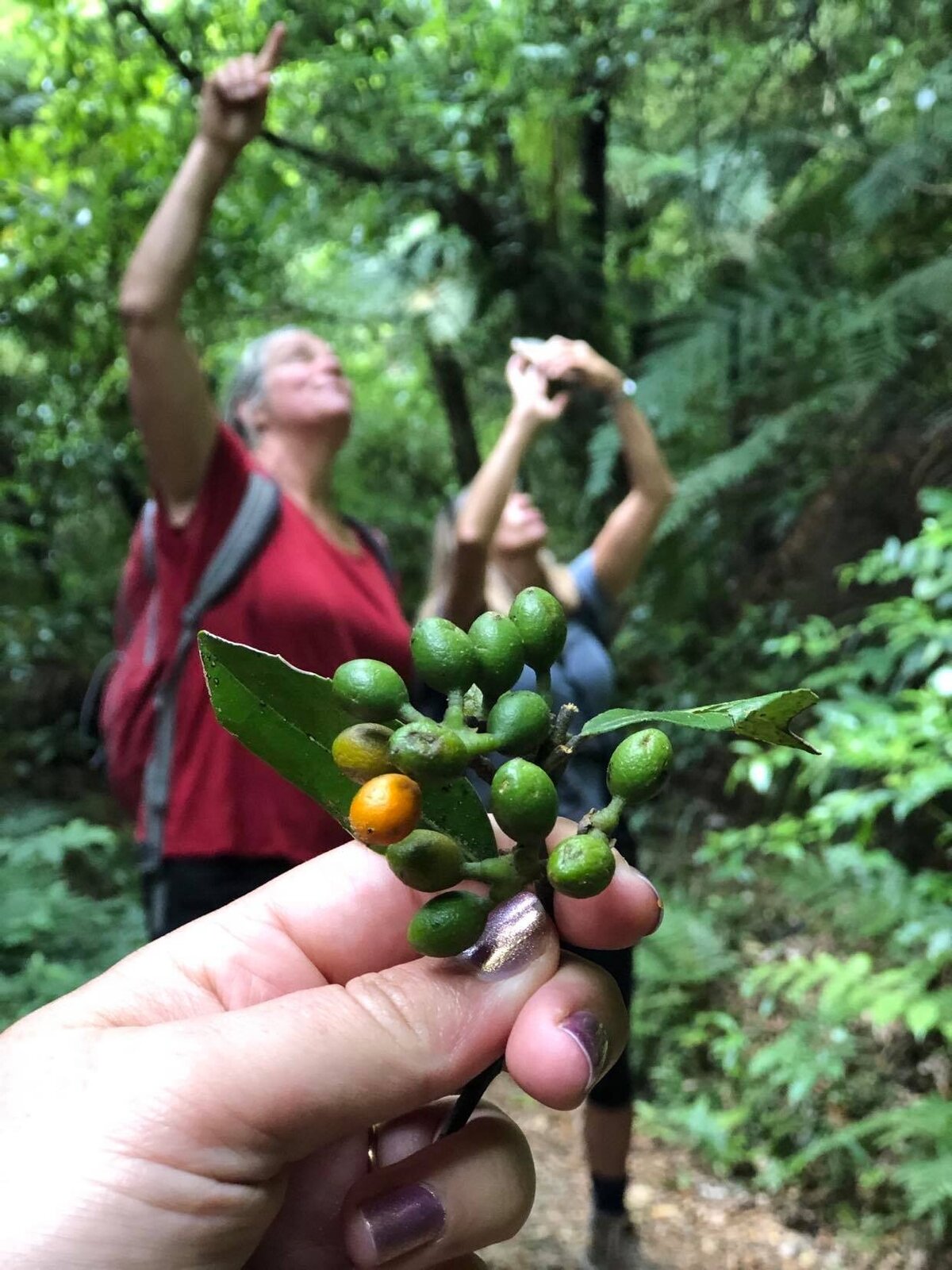 Mums over maunga | Nature & Nosh