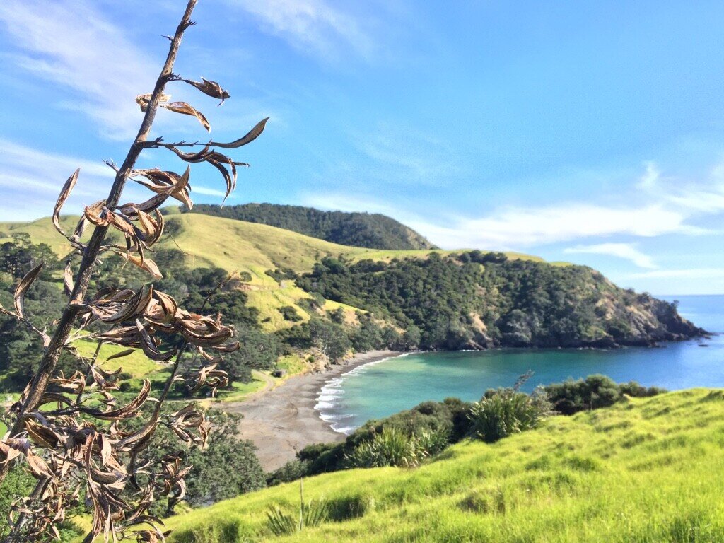 Coromandel gourmet hiking escape | Nature & Nosh
