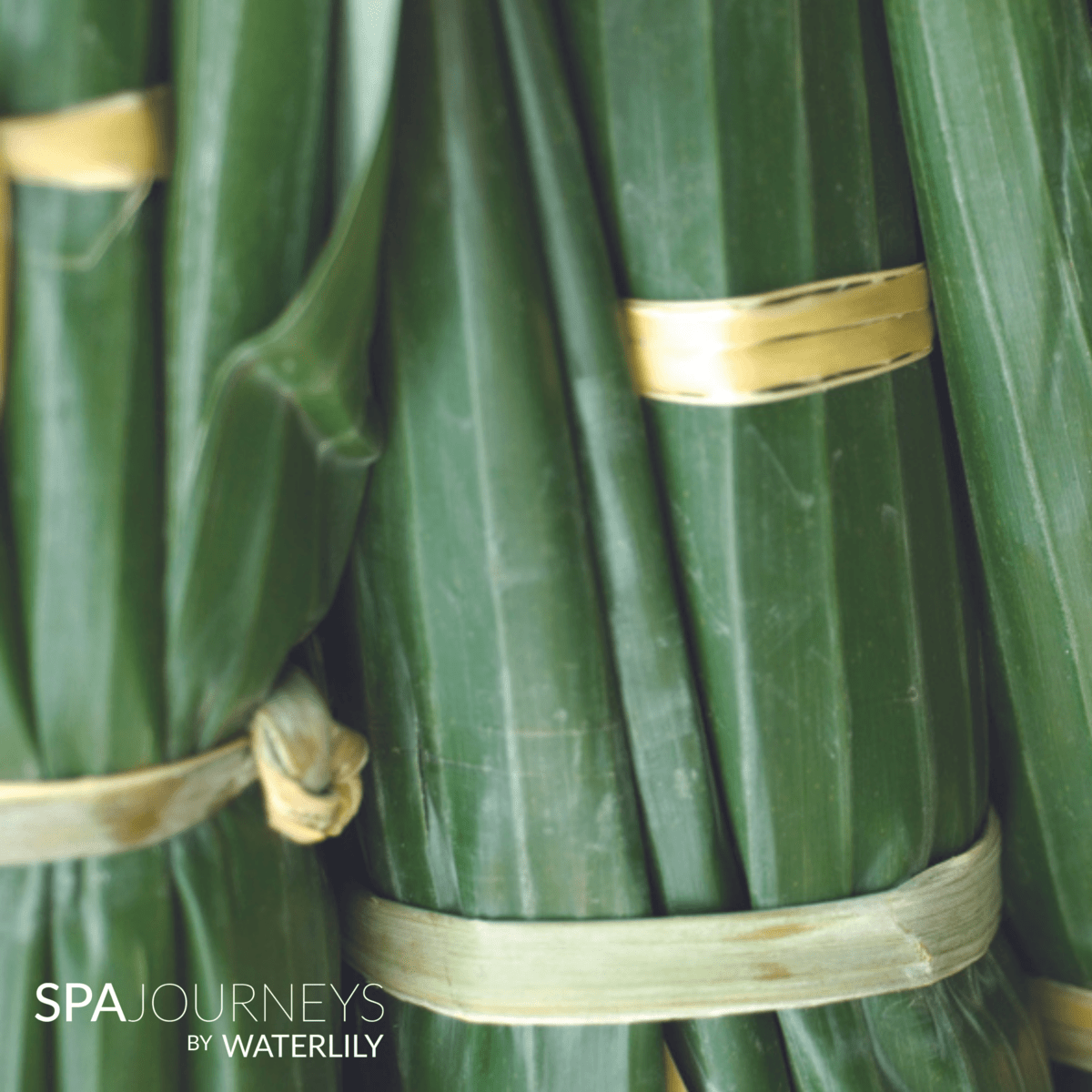 Body Rituals | Loulous Day Spa & Salon