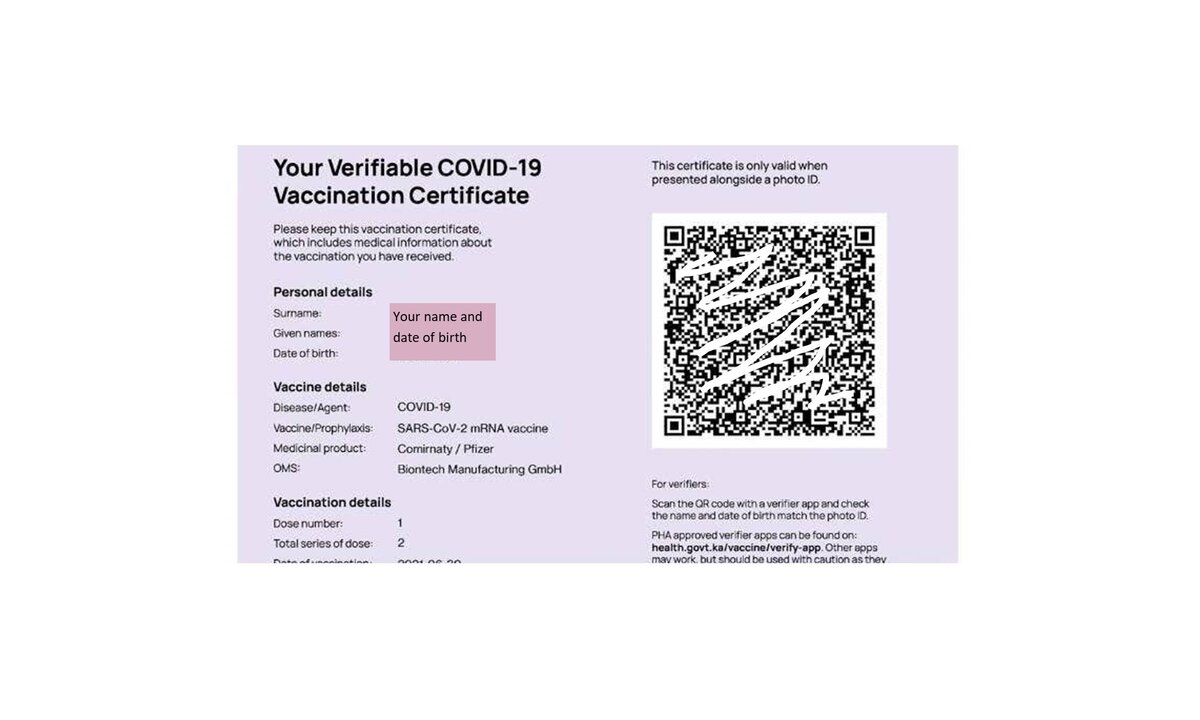 Your Vaccine Certificate - Keep it Safe | Green Mouse Computing