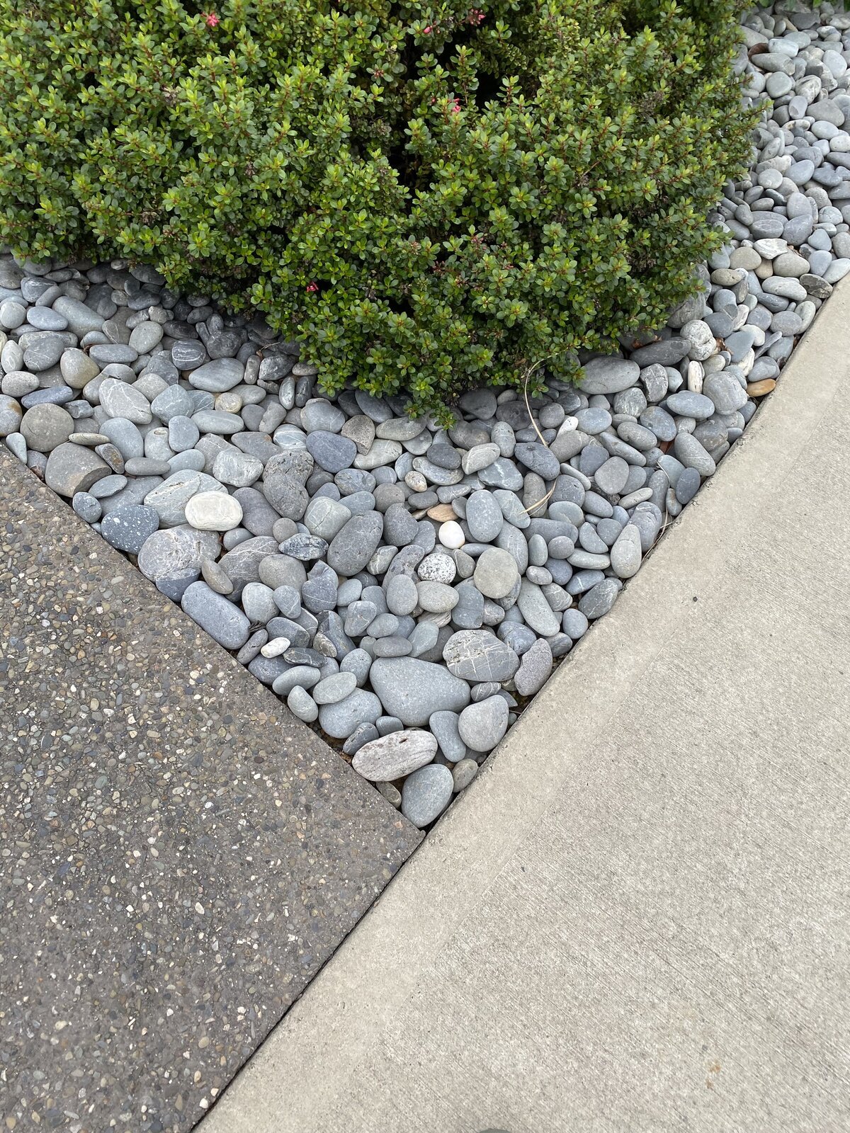 Landscape design, construction | Sherlock Landscaping Nelson