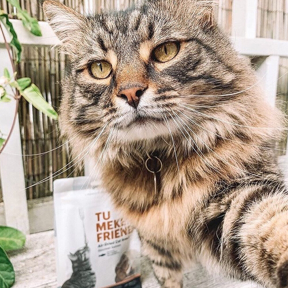 Naturally Pet | Tu Meke