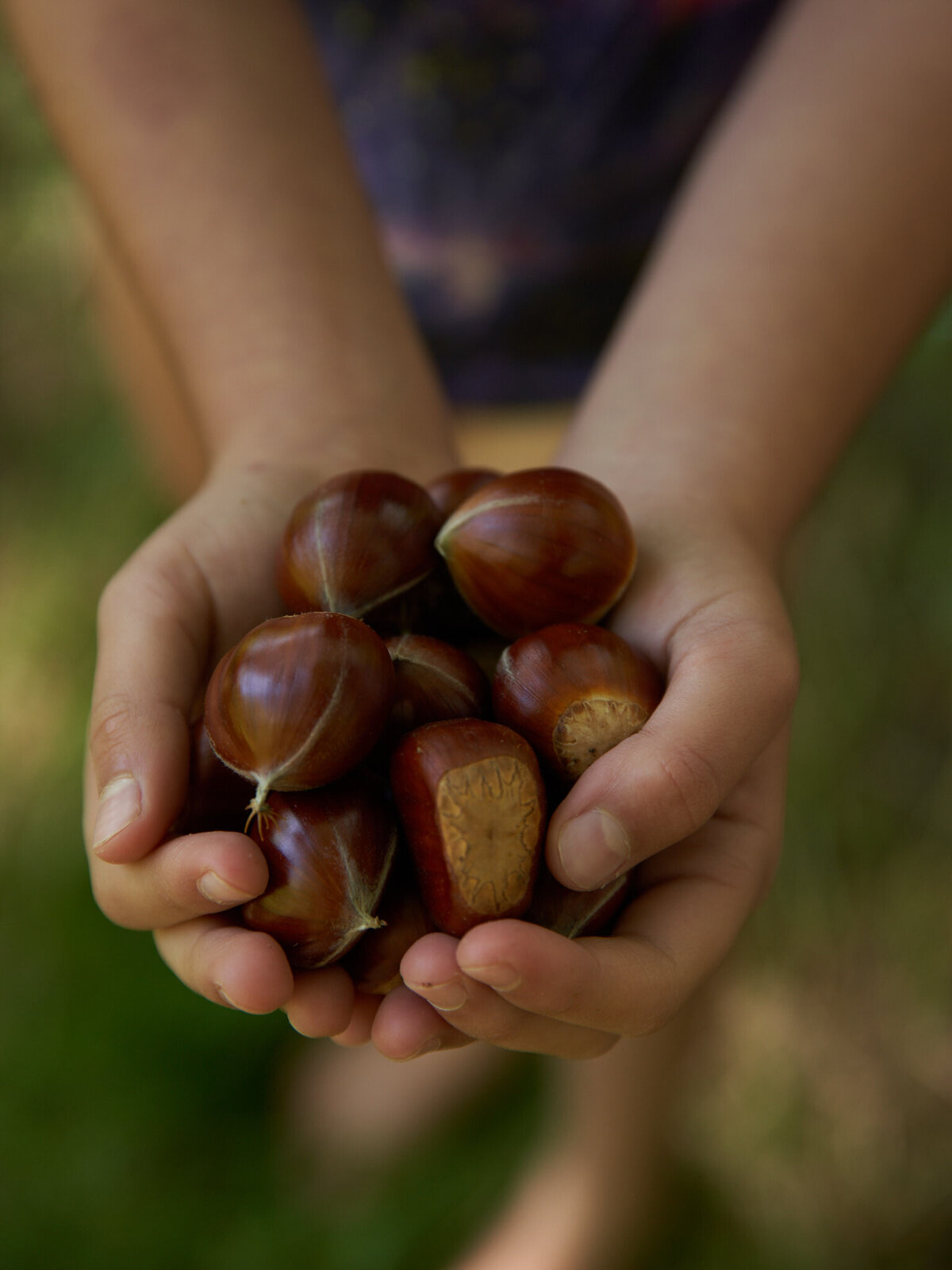Farm Produce | Pakaraka Permaculture