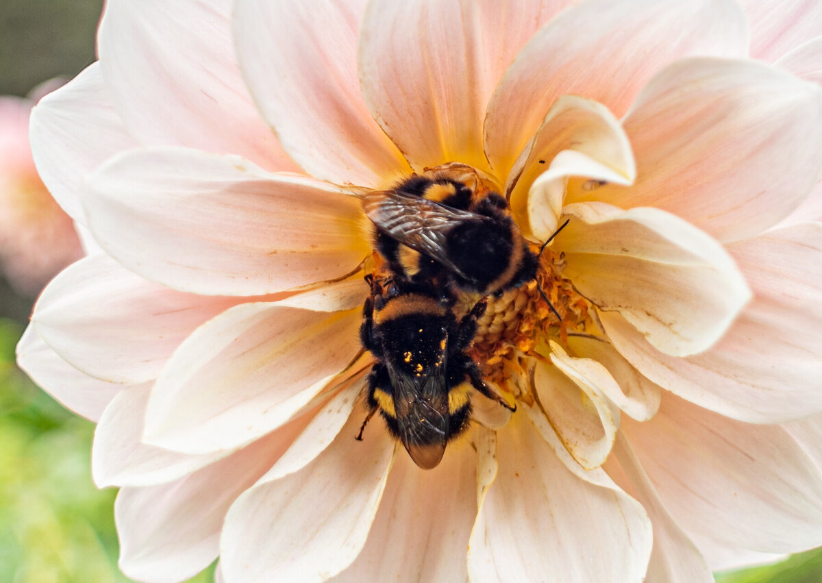 About Pākaraka Permaculture | Pakaraka Permaculture