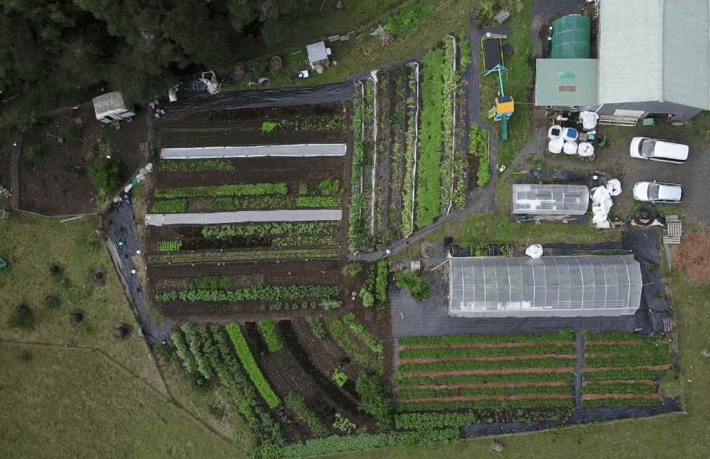 Pakaraka Permaculture workshops | Gardening, Fermentation