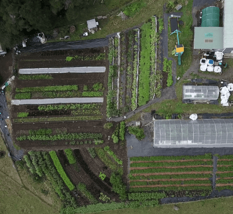 Pakaraka Permaculture workshops | Pakaraka Permaculture