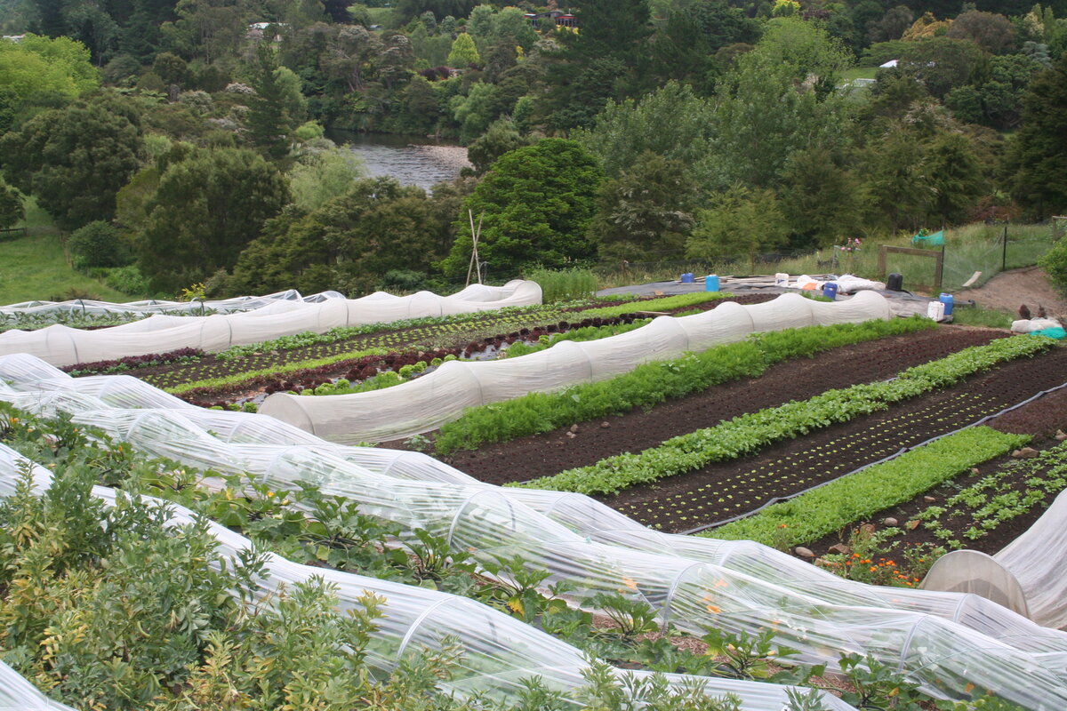 Organic Market Gardening Online Course | Pakaraka Permaculture