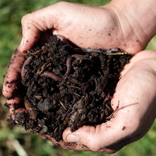 About | Pakaraka Permaculture