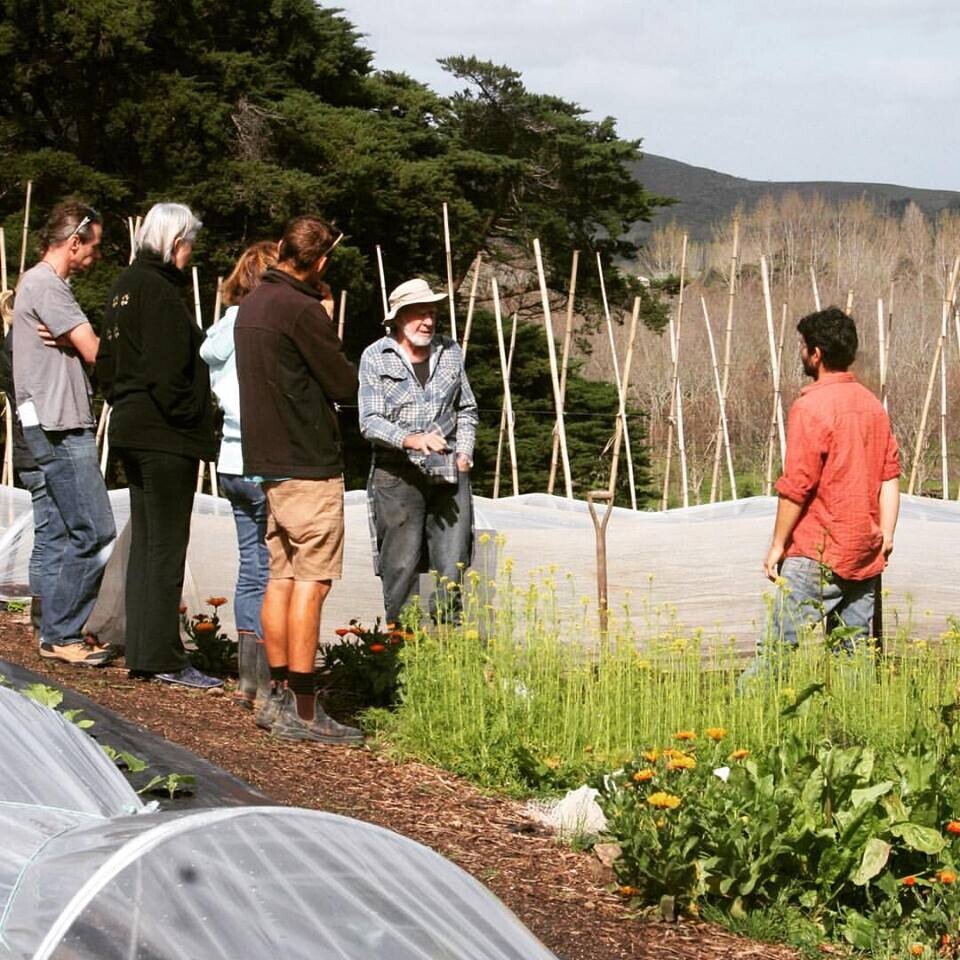 Organic Gardening Workshops | Pakaraka Permaculture Market Garden | The ...
