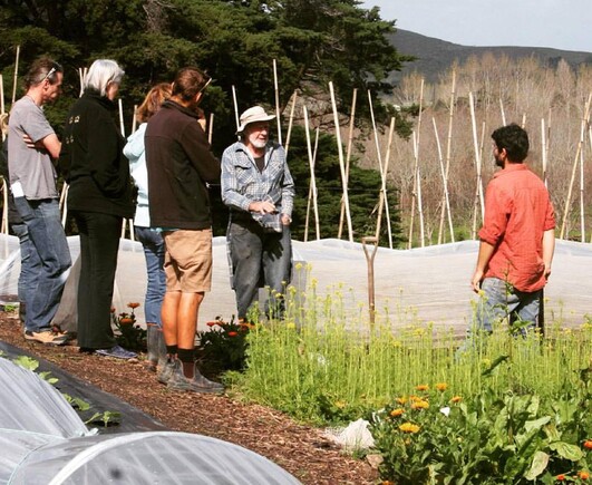 Pakaraka Permaculture workshops | Pakaraka Permaculture