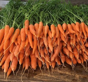 Organic Gardening Workshops | Pakaraka Permaculture Market Garden | The ...