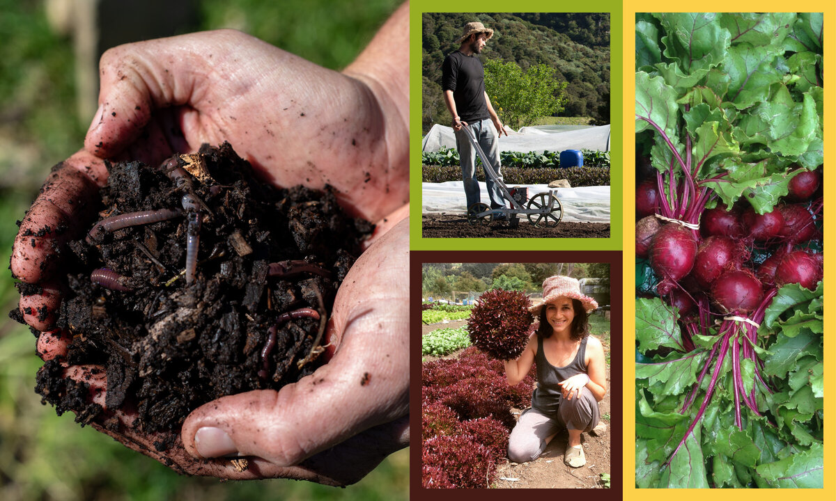 Organic Market Gardening Online Course | Pakaraka Permaculture