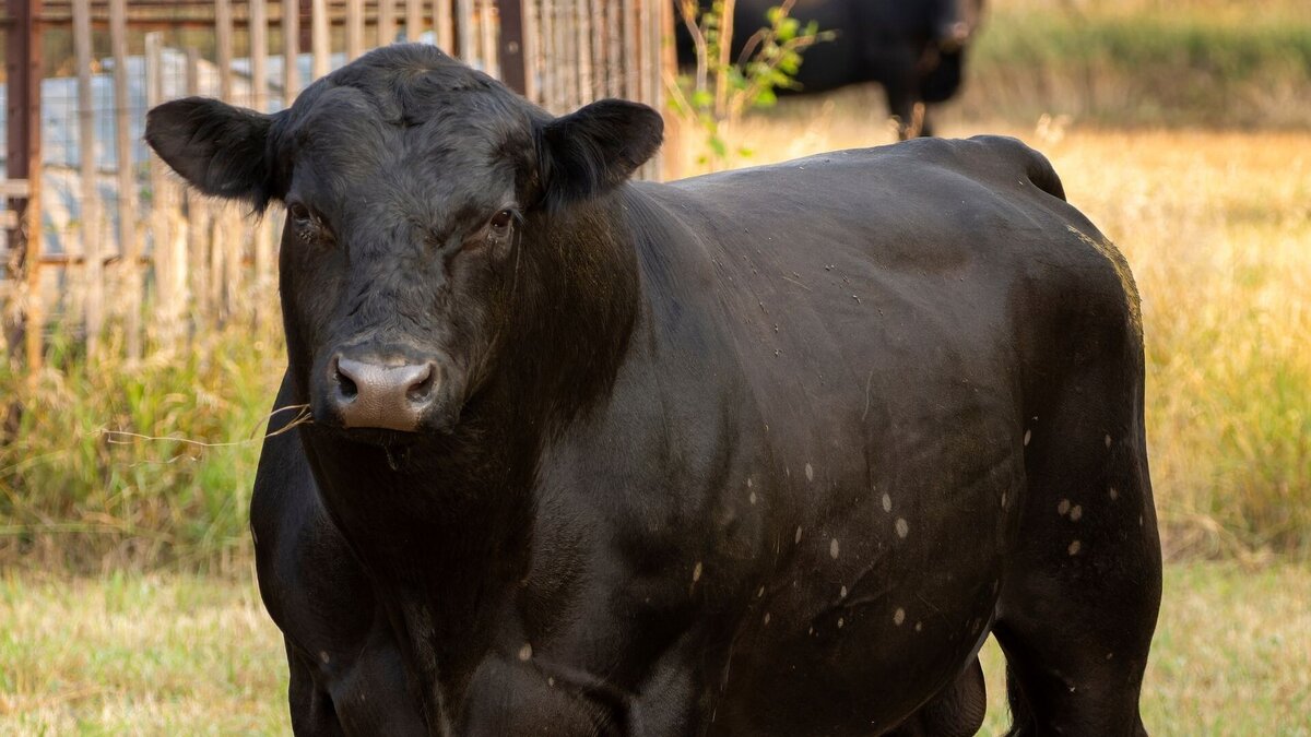 About Us | Farm Skills