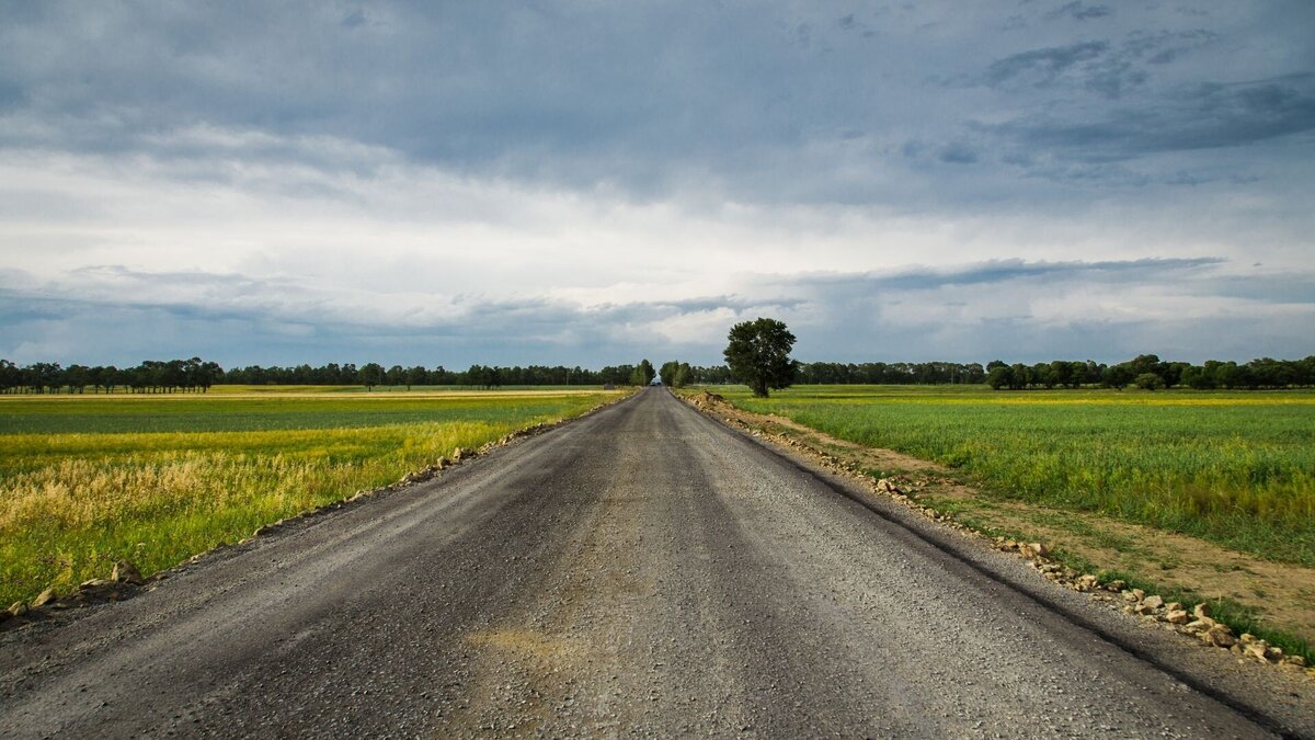 Sheep and beef online training for farm workers | Farm Skills