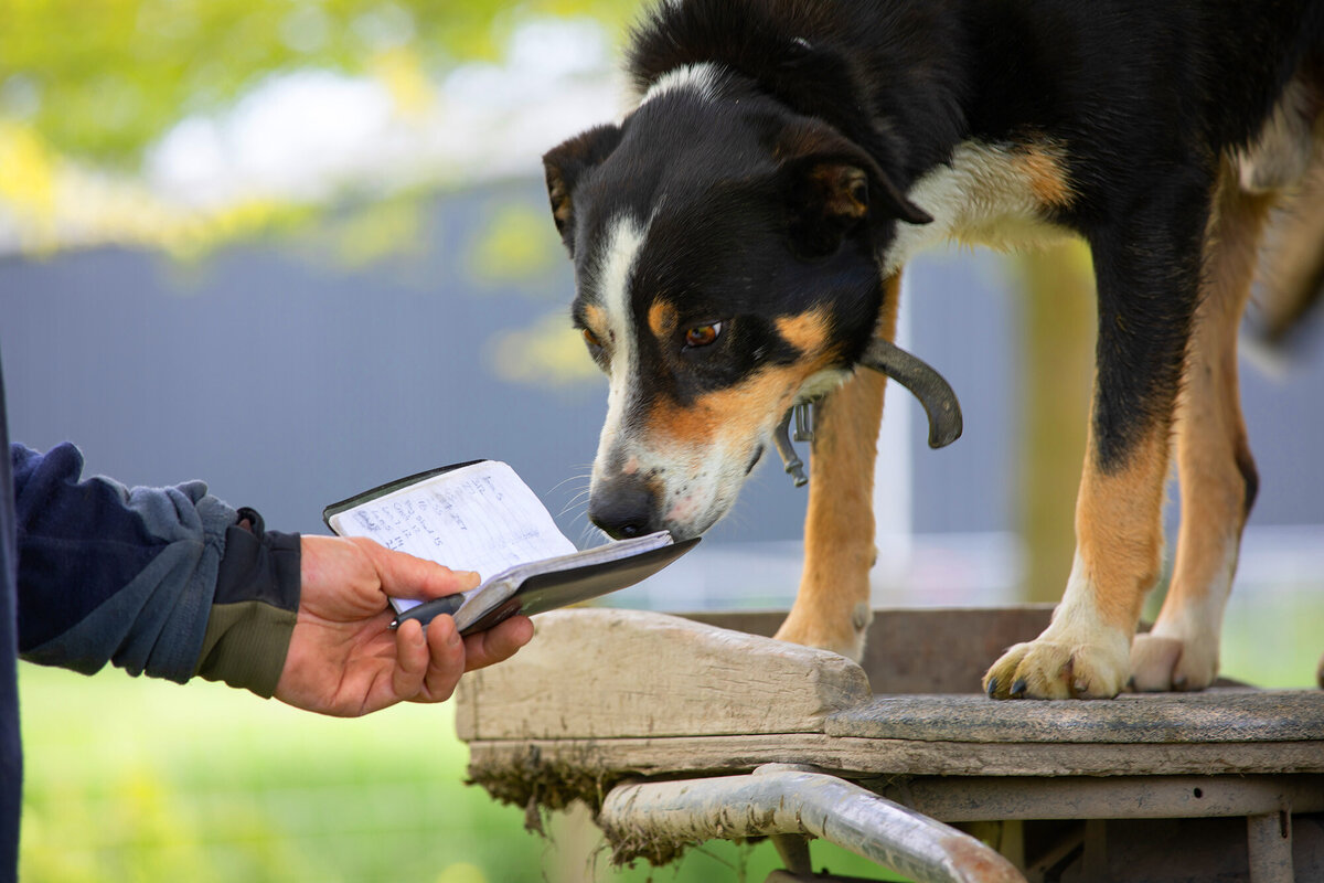 Online Agricultural Training Courses | Farm Skills