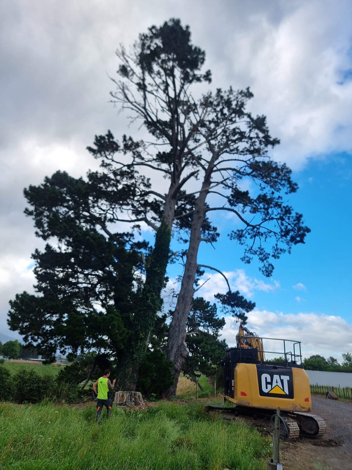 McPherson Tree Care | About | McPherson Tree Care