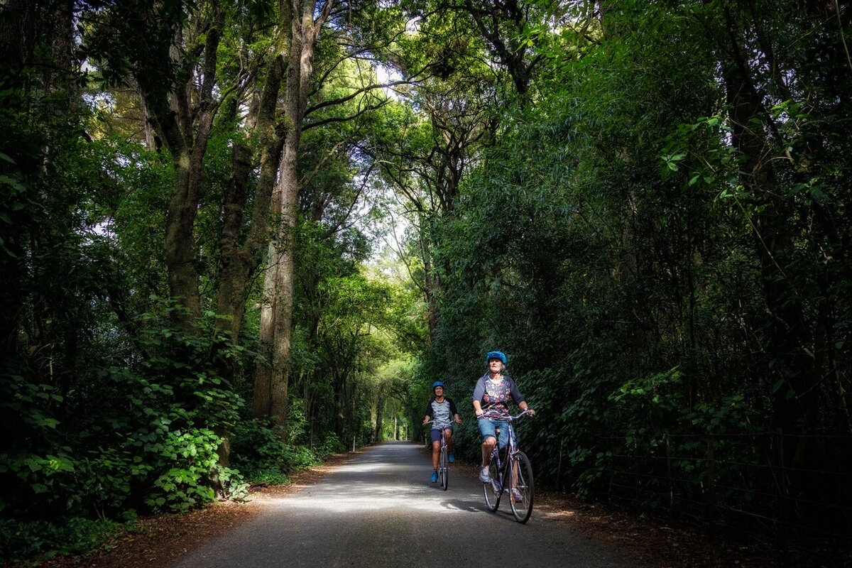 Nelson Corporate Accommodation | Arrow Motel