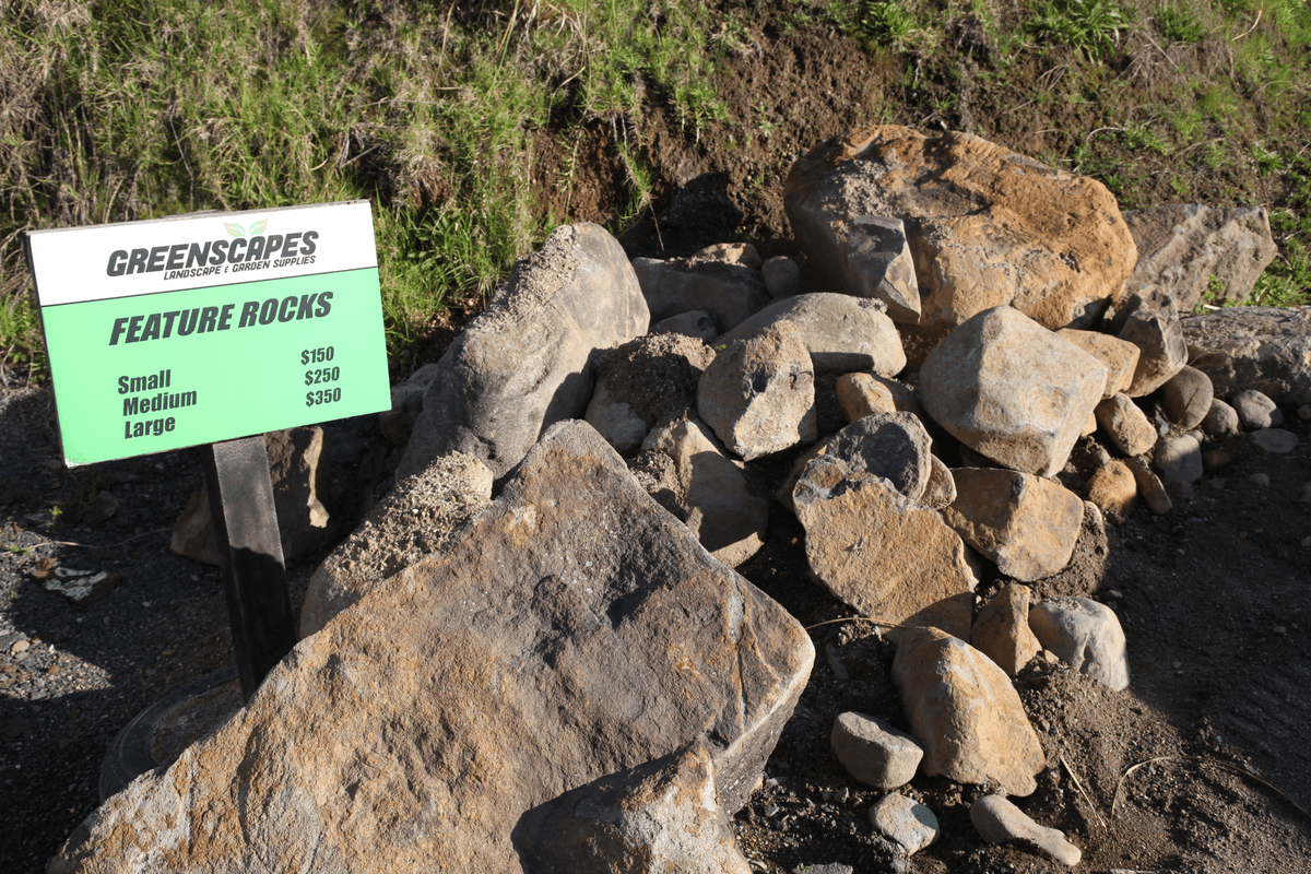 Feature Boulders | Greenscape Landscape & Garden Supplies